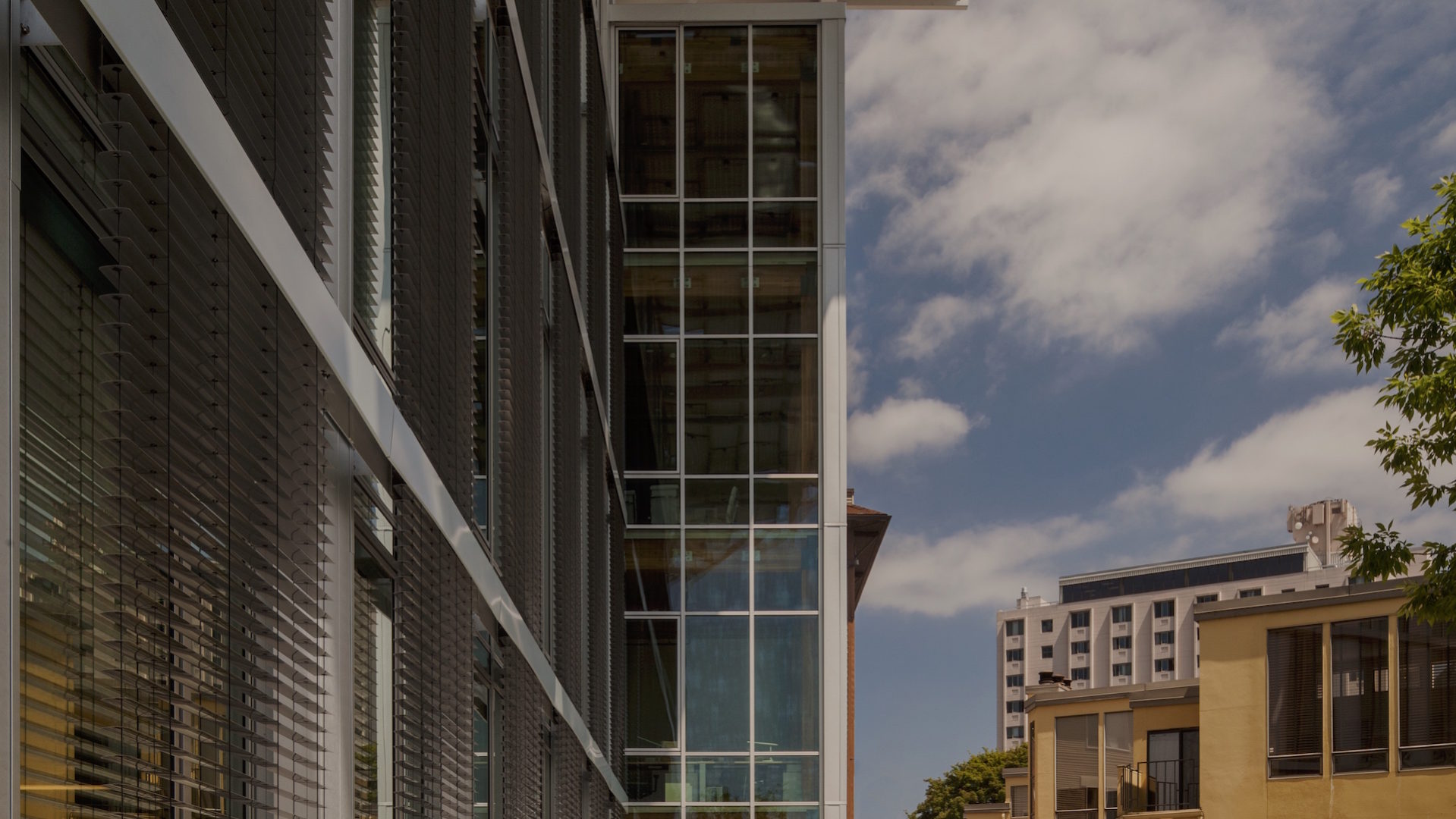 News Landing Image –FAUL